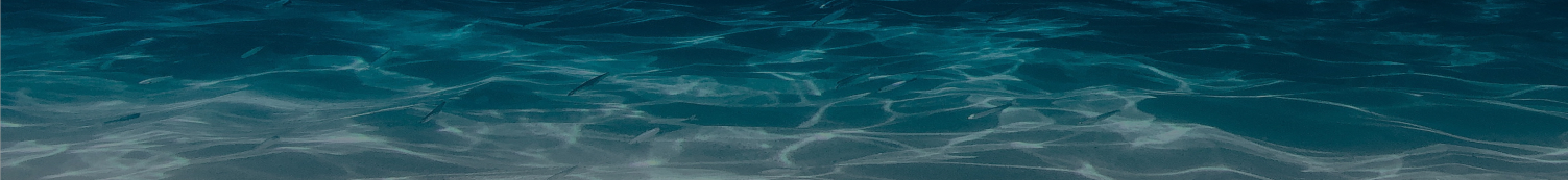 Facility - Blue Script Pharmacy